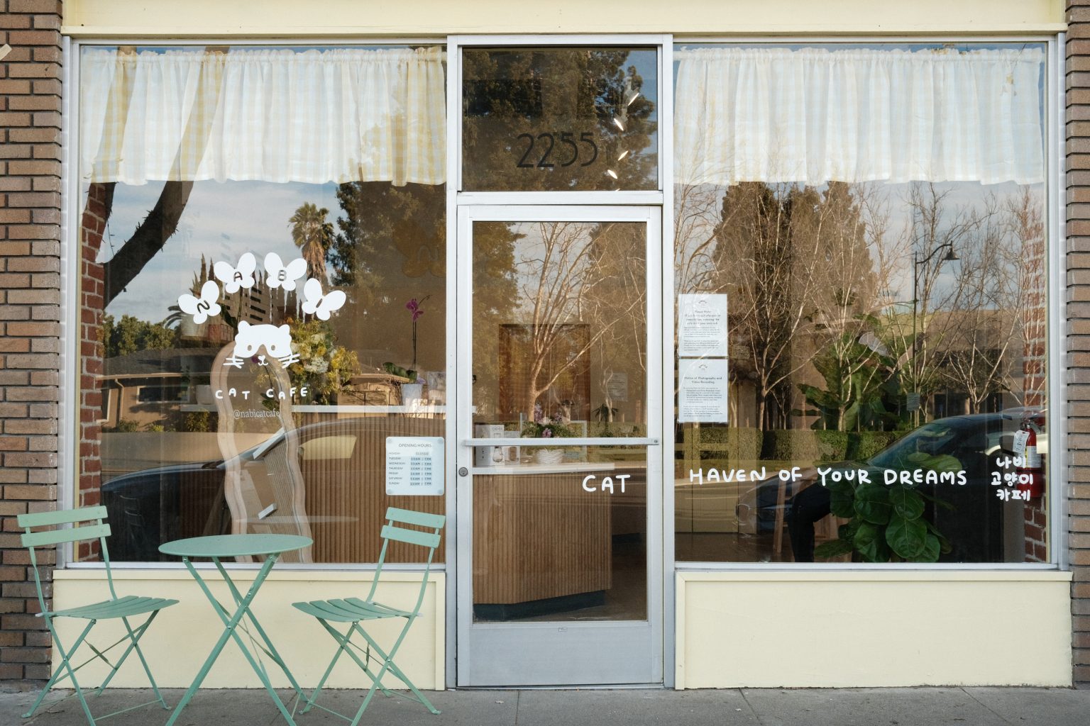 How to Start a Coffee Shop or Cafe: an Architect’s Perspective